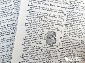 Crafting | Turkey shadow box - Wisconsin Magpie